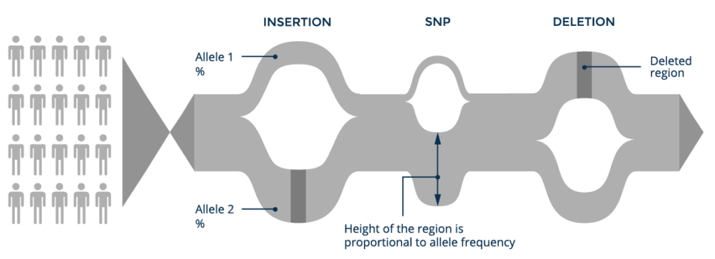 Seven Bridges GRAF | Pan-Genome Analysis for Next-Generation Sequencing ...