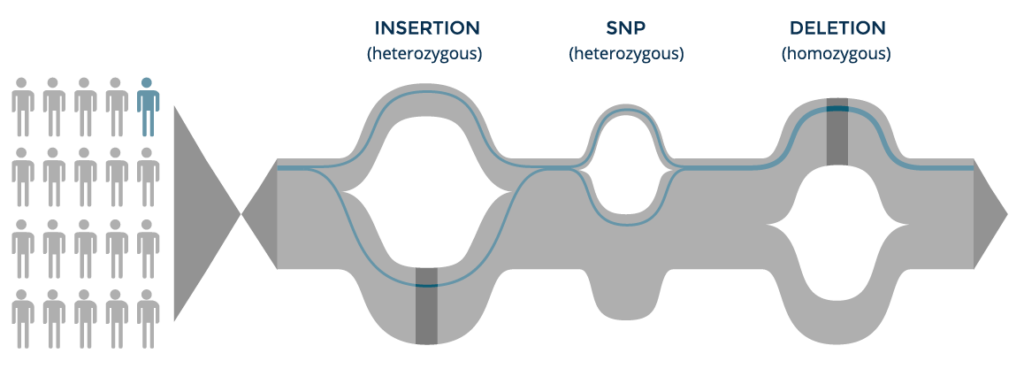 Better reference - Seven Bridges