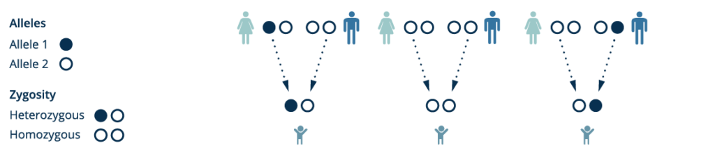 Better reference - Seven Bridges
