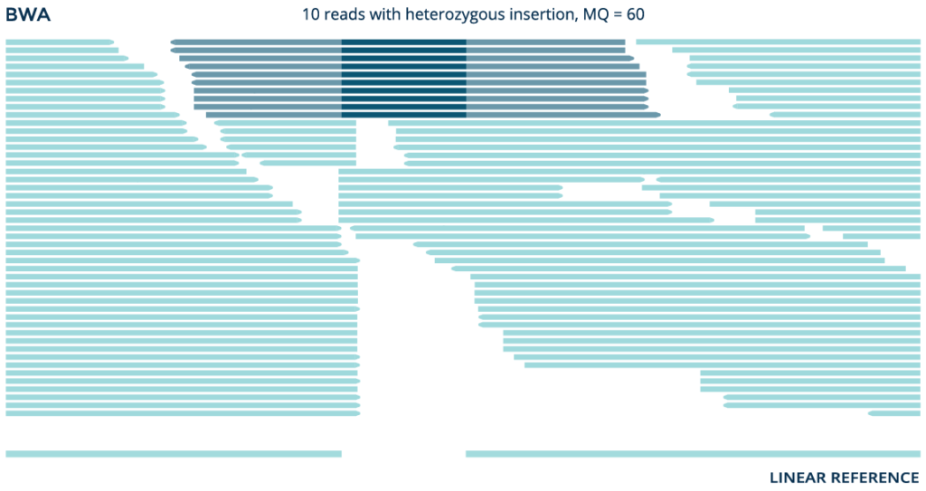 Aligning Reads - Seven Bridges