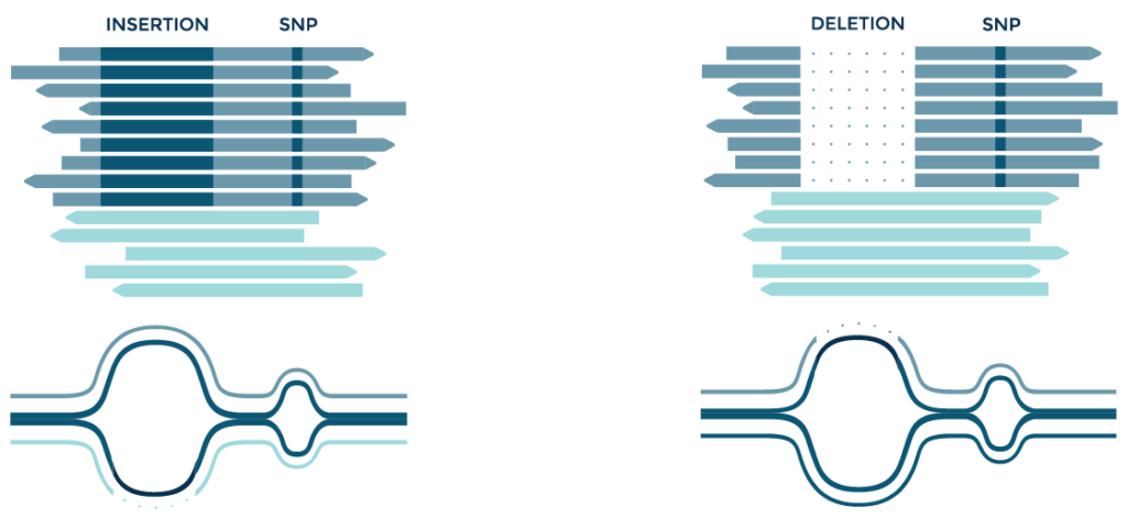 Aligning Reads - Seven Bridges