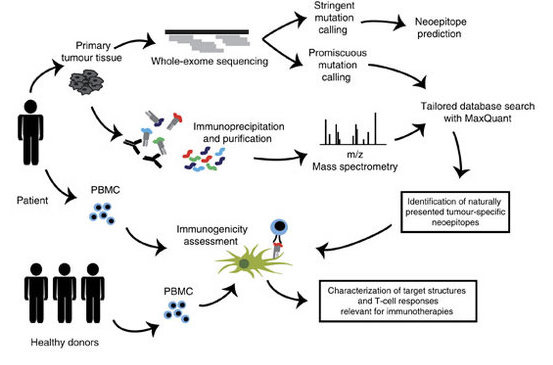 Bioinformatics applications in cancer immunotherapy - Seven Bridges