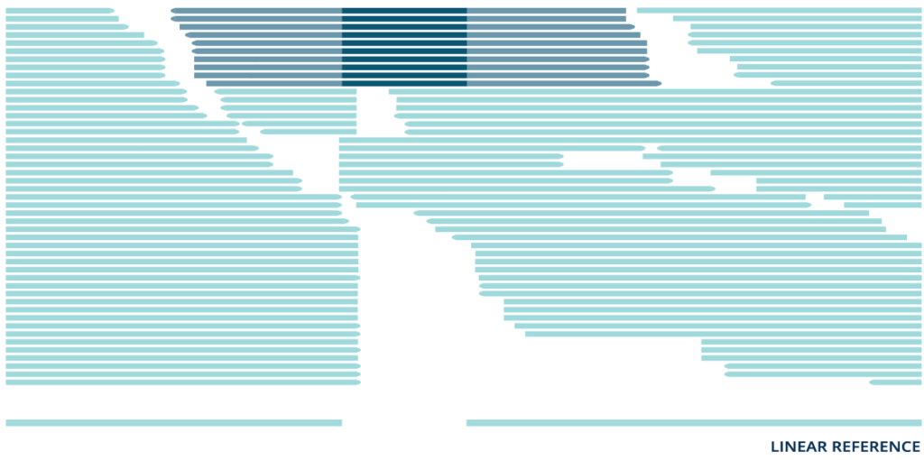 Reference bias: Challenges and solutions - Seven Bridges