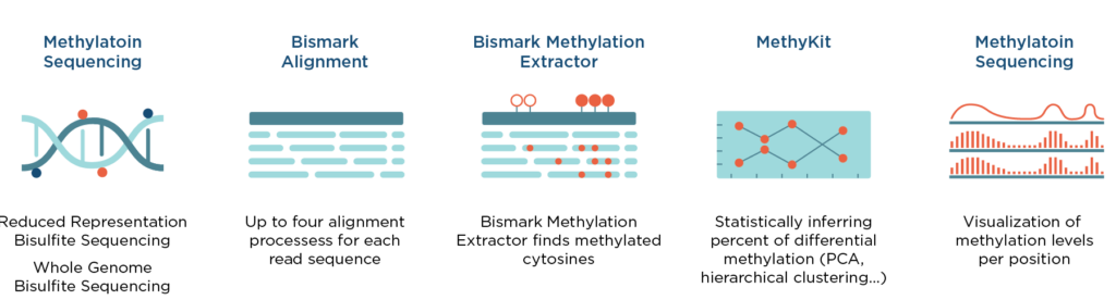 Differential Methylation Analysis with Seven Bridges