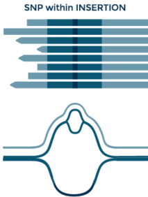 Seven Bridges GRAF | Pan-Genome Graphs Identify SNPs, INDELs and ...