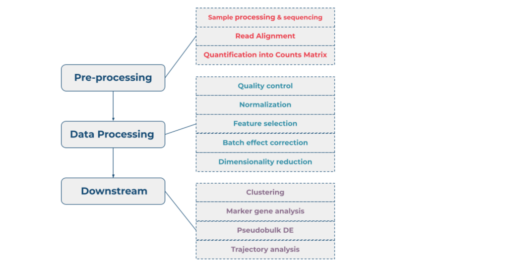 Highly Customizable Multi-sample Single Cell RNA-Seq Pipeline on the ...
