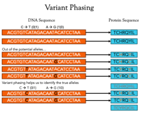 Exploring the Science Behind Neoantigen Discovery from Mutations to ...